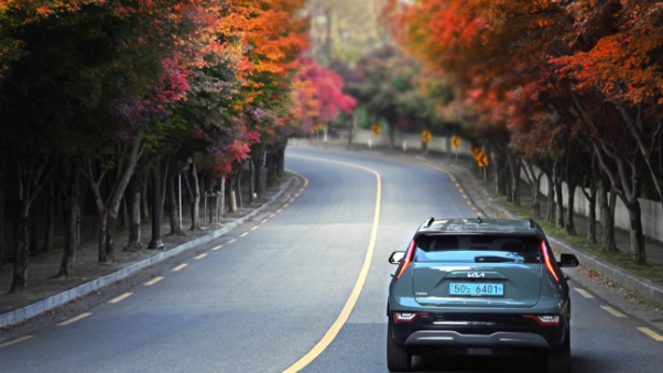 BEVs vs PHEVs: Differences in Electric Vehicles